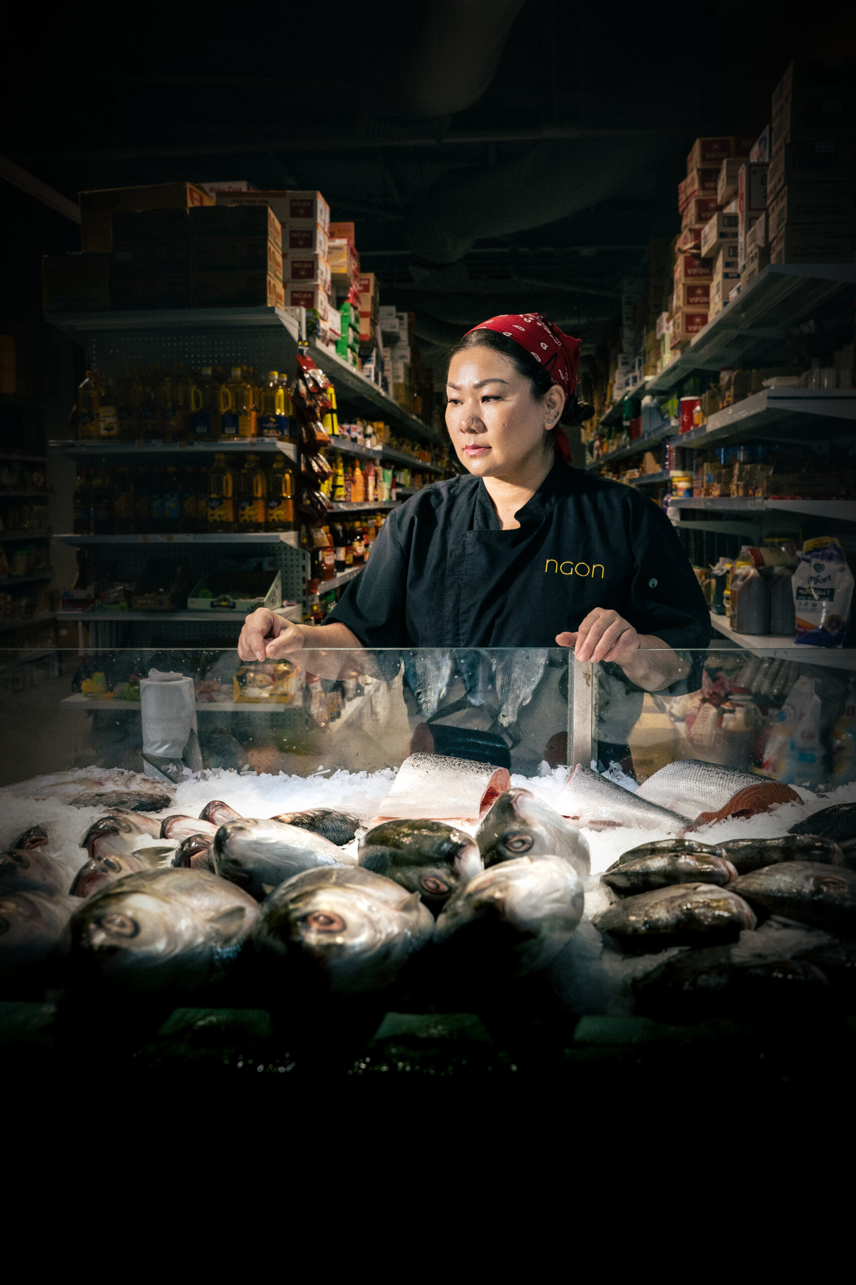 NIGHT FEAST RETURNS FOR 2024 - Brisbane Powerhouse